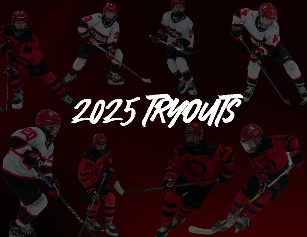 Pittsburgh Vengeance Hockey – Pittsburgh Tier 1 Hockey Organization